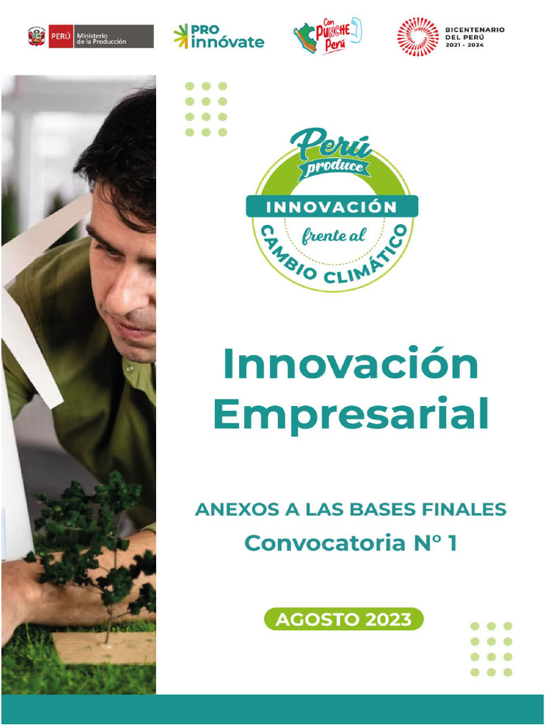 Anexos-Bases Finales Innov Emp | PDF | Perú | Planificación