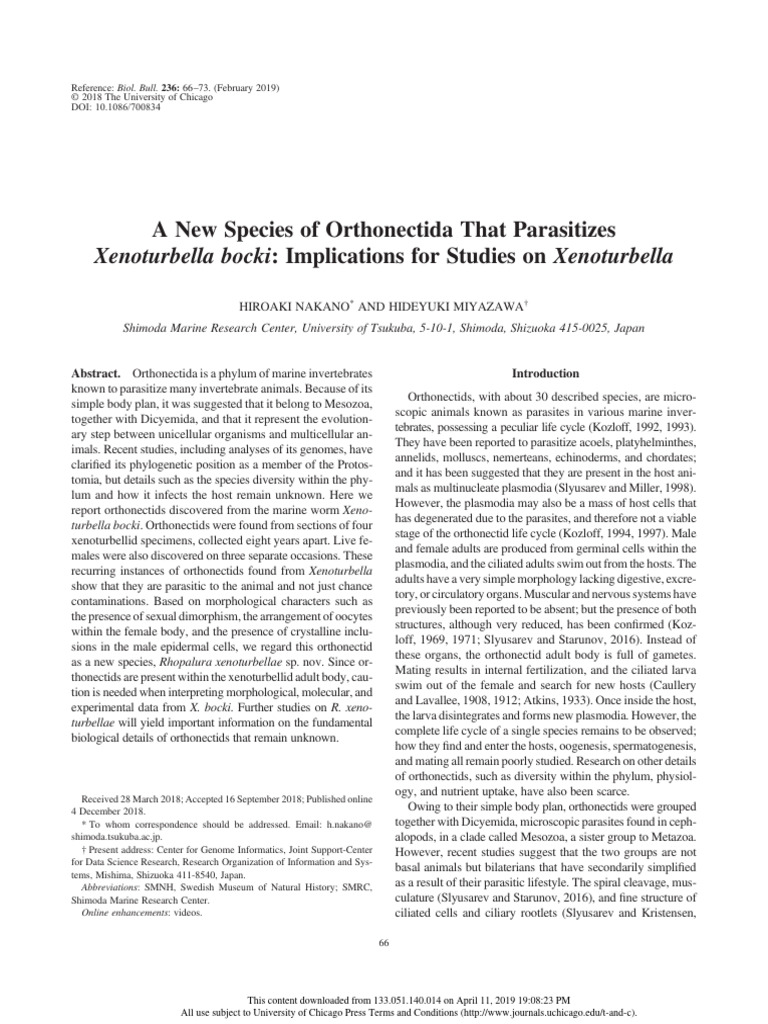 BB 236 | PDF | Biology