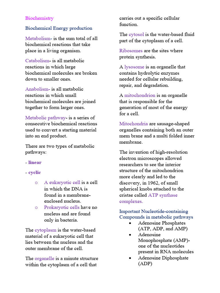 Biochemical Energy Production - BIOCHEMISTRY | PDF | Nucleotides | Cell ...