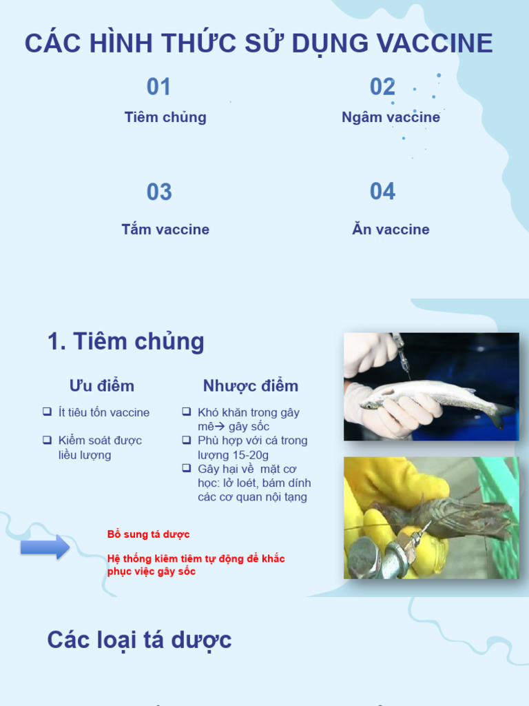 Các Hình TH C S D NG Vaccine Cho Cá, Tôm | PDF