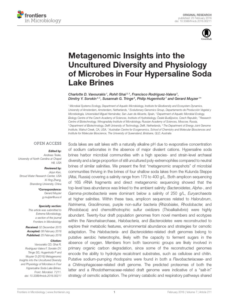 Metagenomic Insights Into The Uncultured | PDF | Polymerase Chain Reaction | Gene