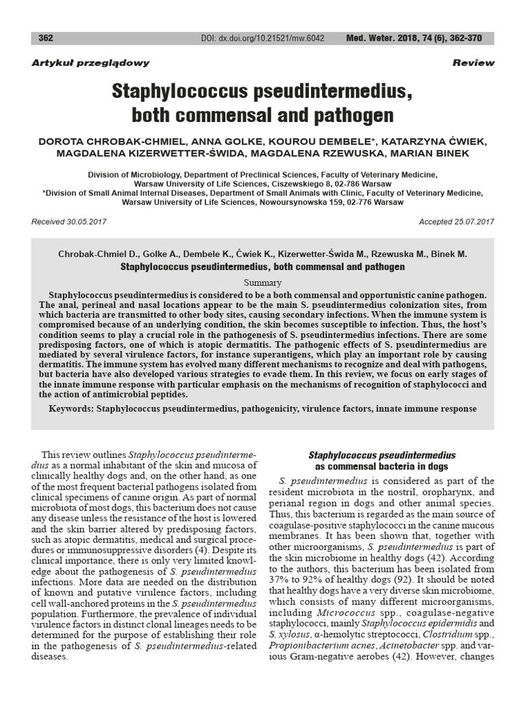 Staphylococcus Pseudintermedius, Both Commensal and Pathogen | PDF ...