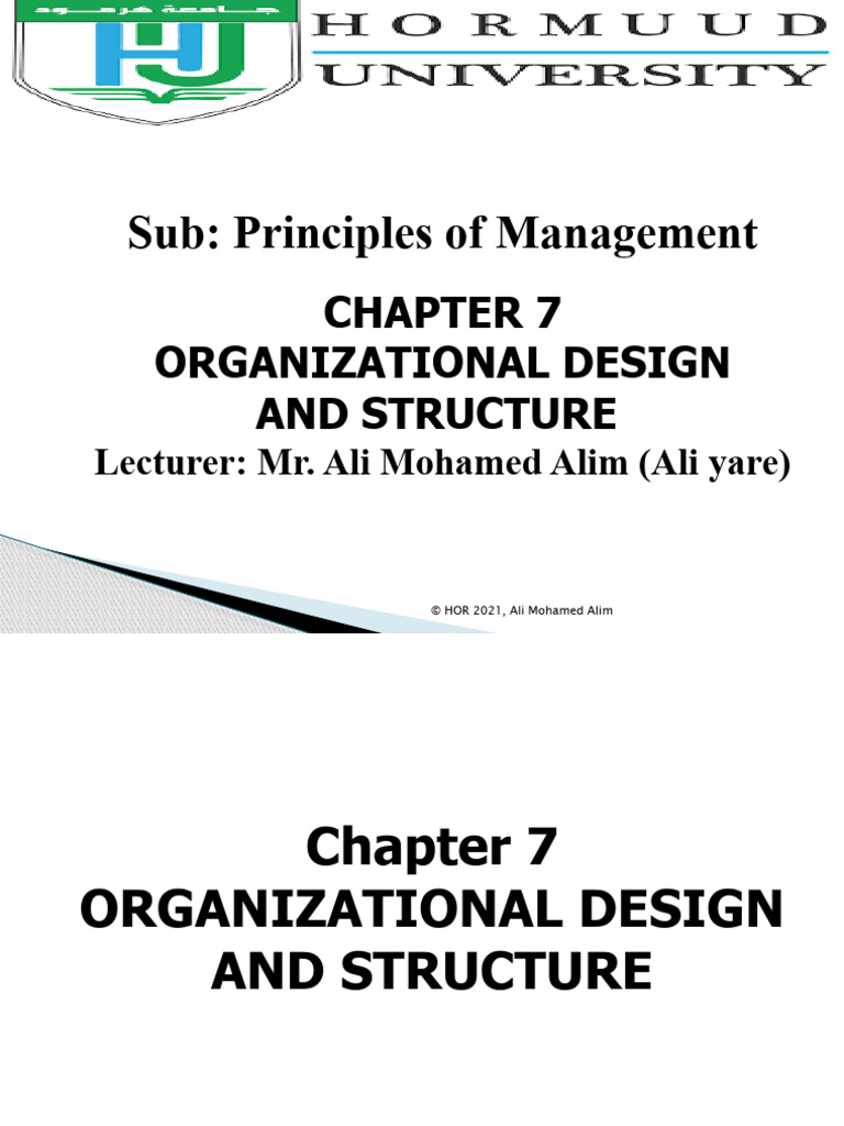 Chapter 7 Organizational Design and Structure | Download Free PDF | Organizational Structure ...