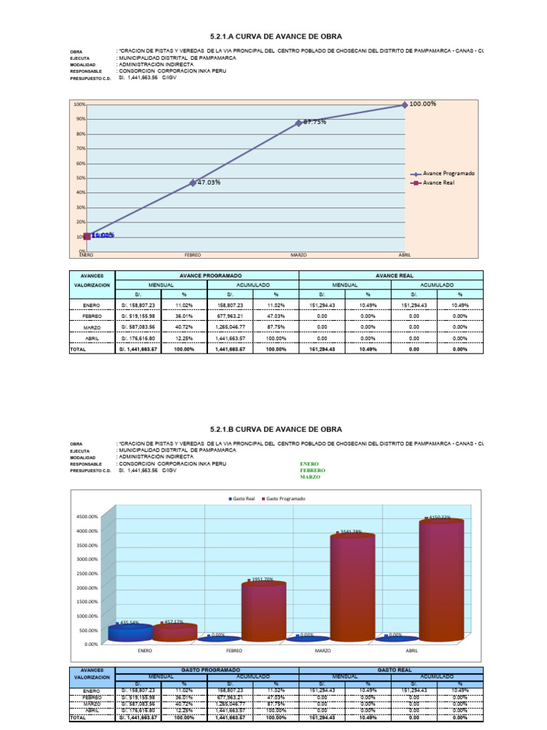 CURVAS S PROGRAMADO VS EJECUTADO Anero 2013 Semanal | PDF