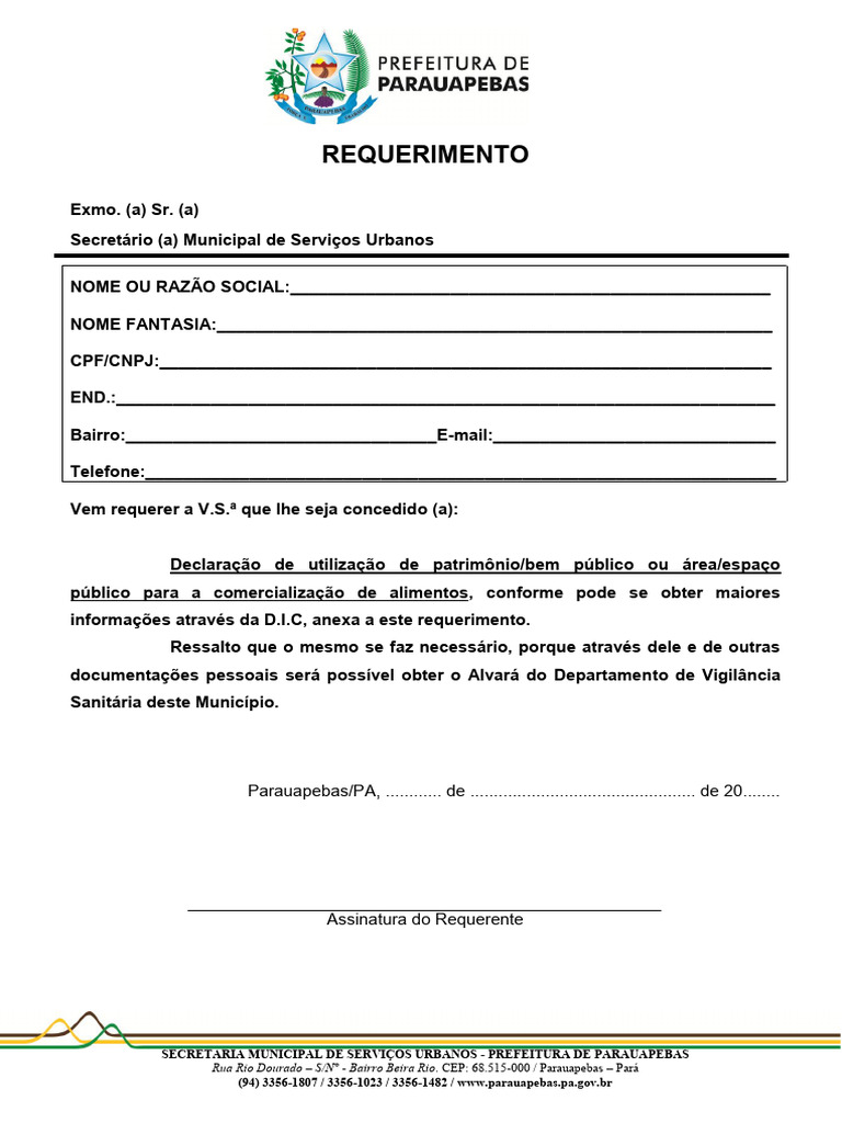 Requerimento para Declaracao Bem Publico Ou Espaco Publico | PDF