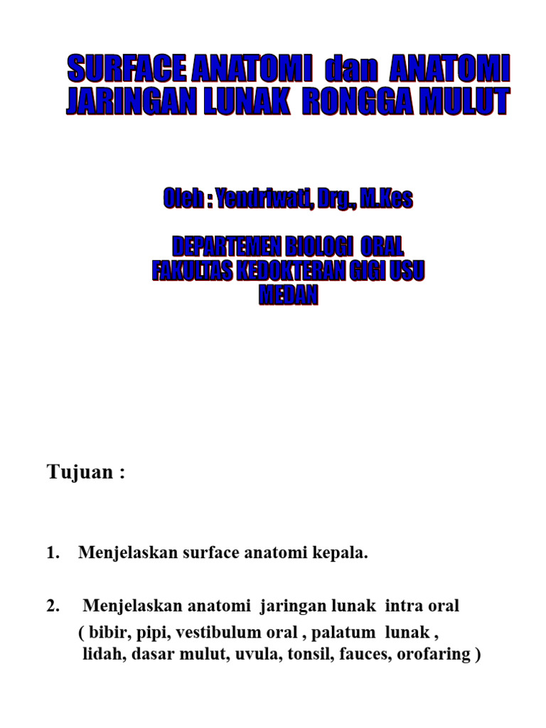 87389_Surface Anatomi & Struktur RM. | PDF