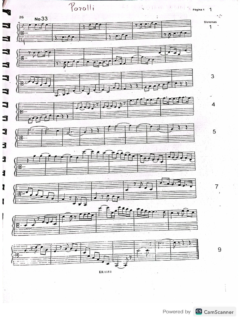 Pozolli | PDF