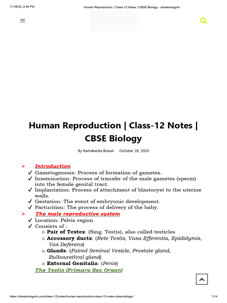 Human Reproduction - Class-12 Notes - CBSE Biology Cbsebiology4u | PDF ...