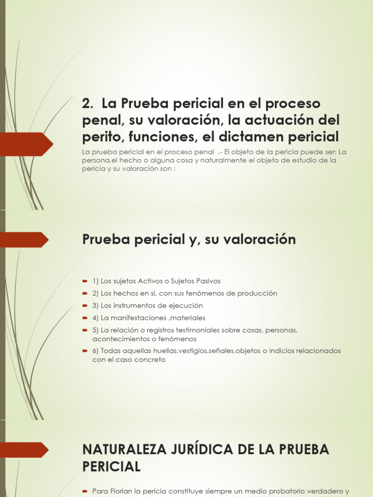 Prueba Pericial en el Proceso Penal | PDF | Testigo experto | Experto