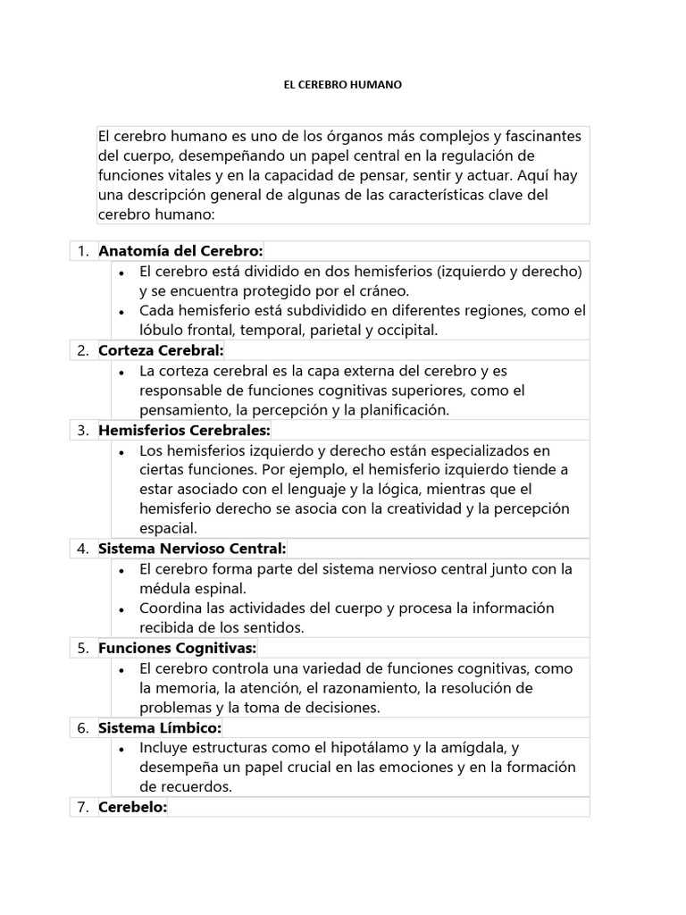 El Cerebro Humano Pdf Cerebro Hemisferio Cerebral
