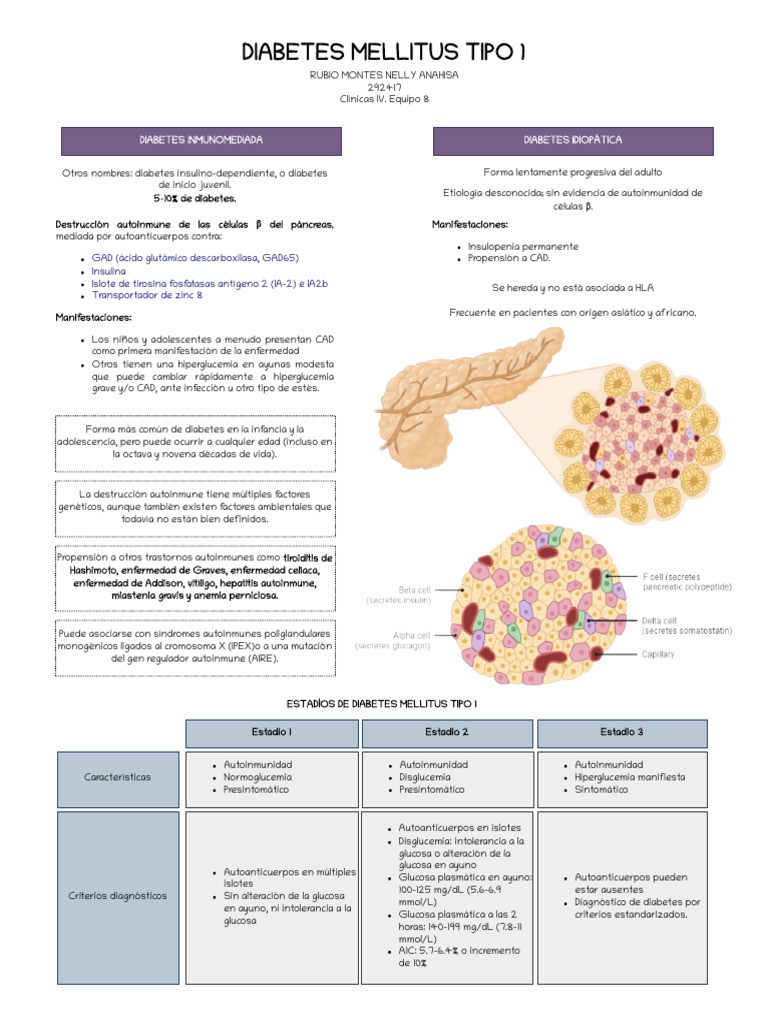 Diabetes Mellitus Tipo 1 | PDF | Autoinmunidad | Diabetes