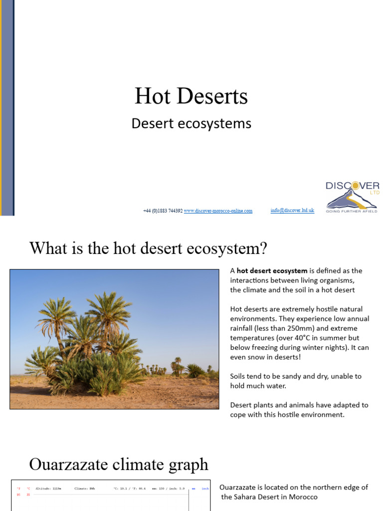 Desert-Ecosystems 2 | PDF | Desert | Sahara