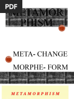 Letrang Ss Kindergarten Worksheets | PDF