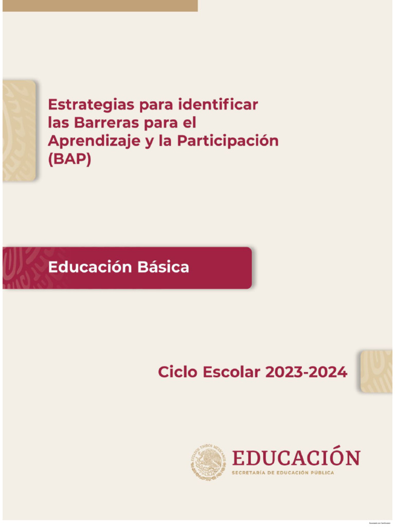 Estrategias para Identificar BAP | PDF