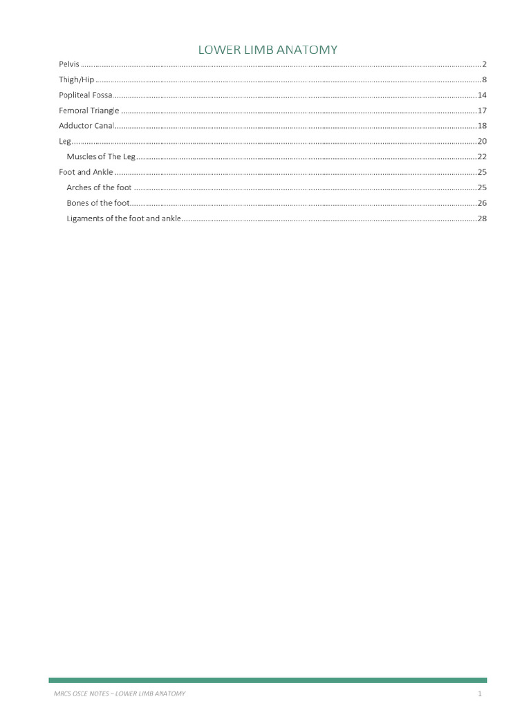 Anatomy Lower-Limb | PDF