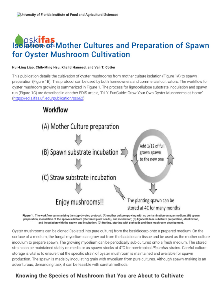 Mushroom Mother Culture & Spawning | PDF | Organisms