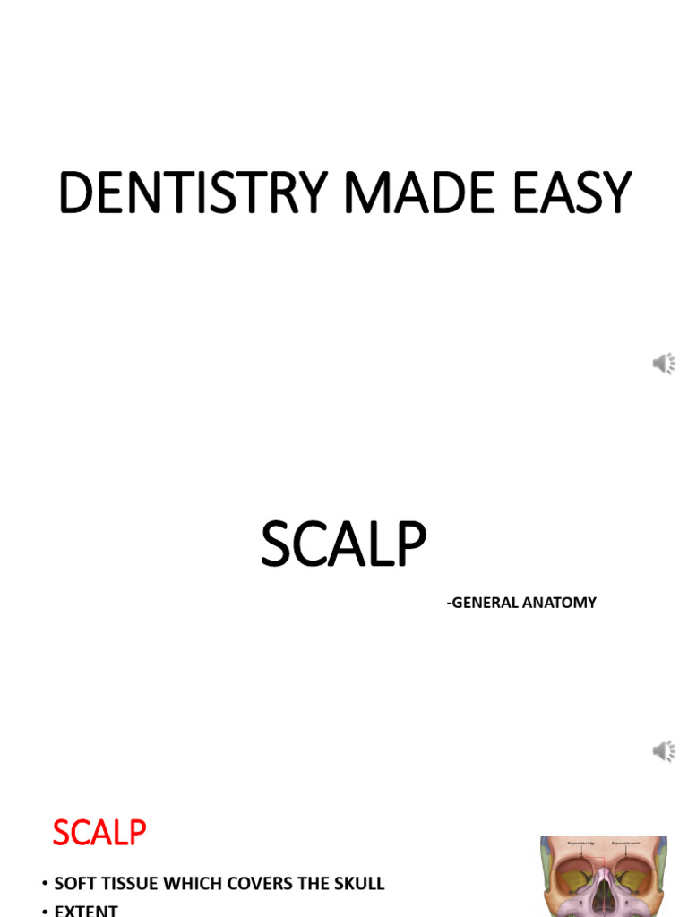 Scalp Anatomy and Its Functions | PDF | Vein | Morphology (Biology)