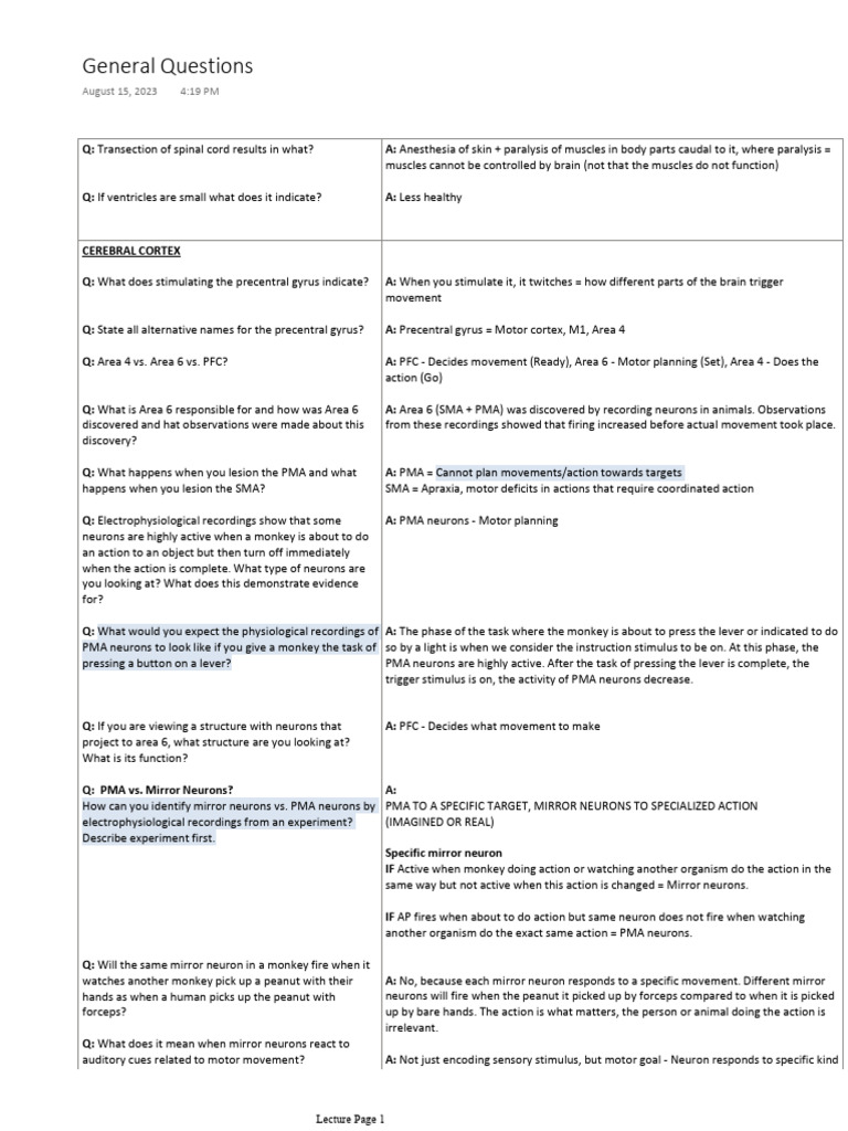 Neuro Question and Answer | PDF | Basal Ganglia | Striatum