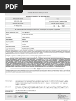 Formato de Cuotas Obrero Patronales Aportaciones y Amortizaciones | PDF