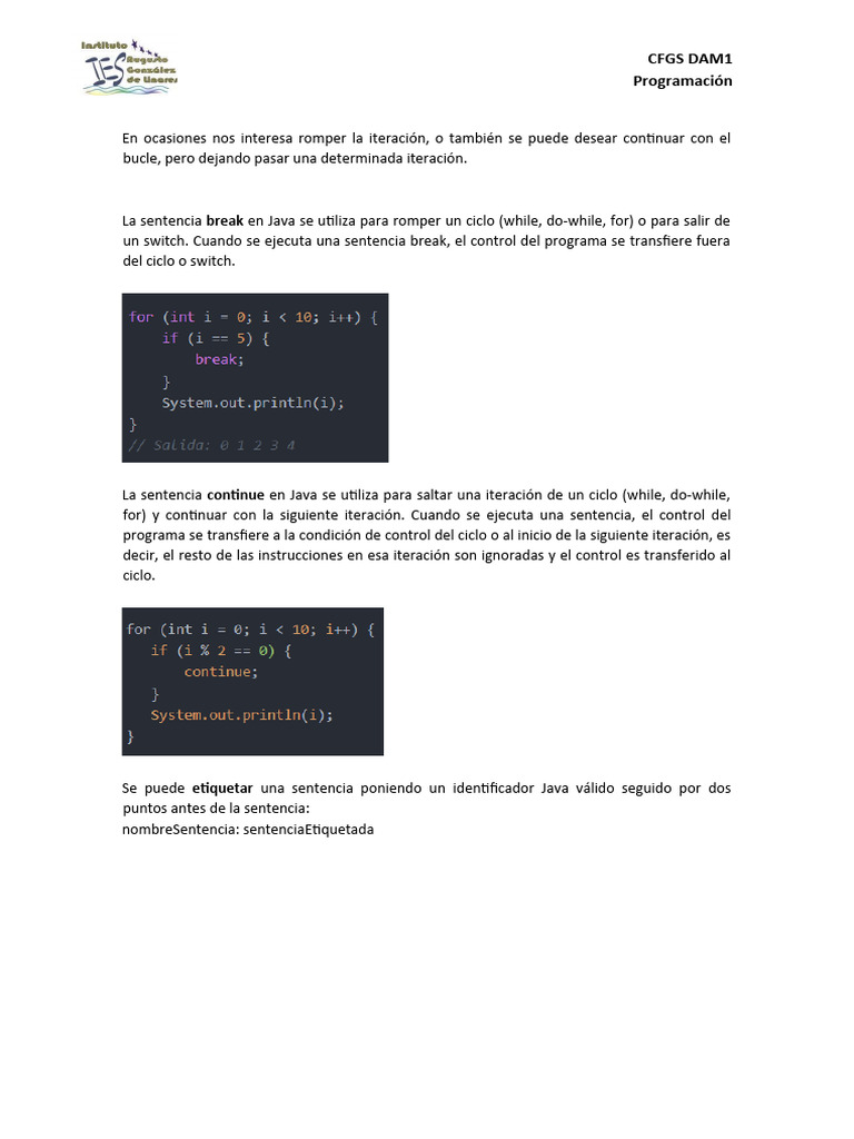 Control de Flujo en Java | PDF