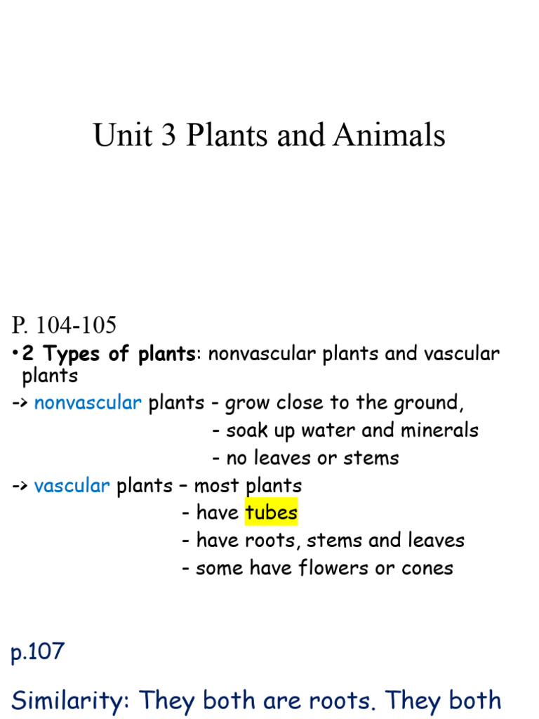 01 Unit 3 Plants and Animals | PDF | Leaf | Plants