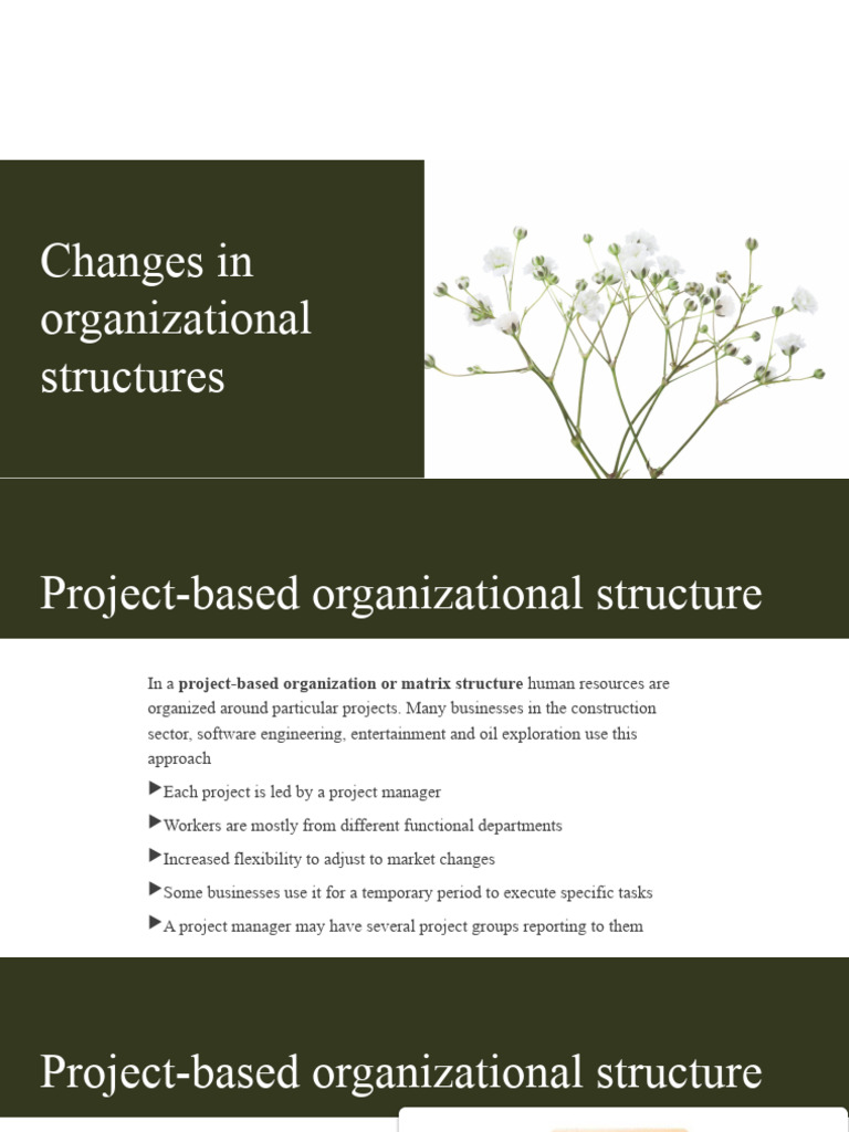 Organizational Structure HL Only | PDF | Organizational Structure ...