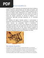Historia de La Catapulta | PDF | Armas de proyectiles | Proyectiles