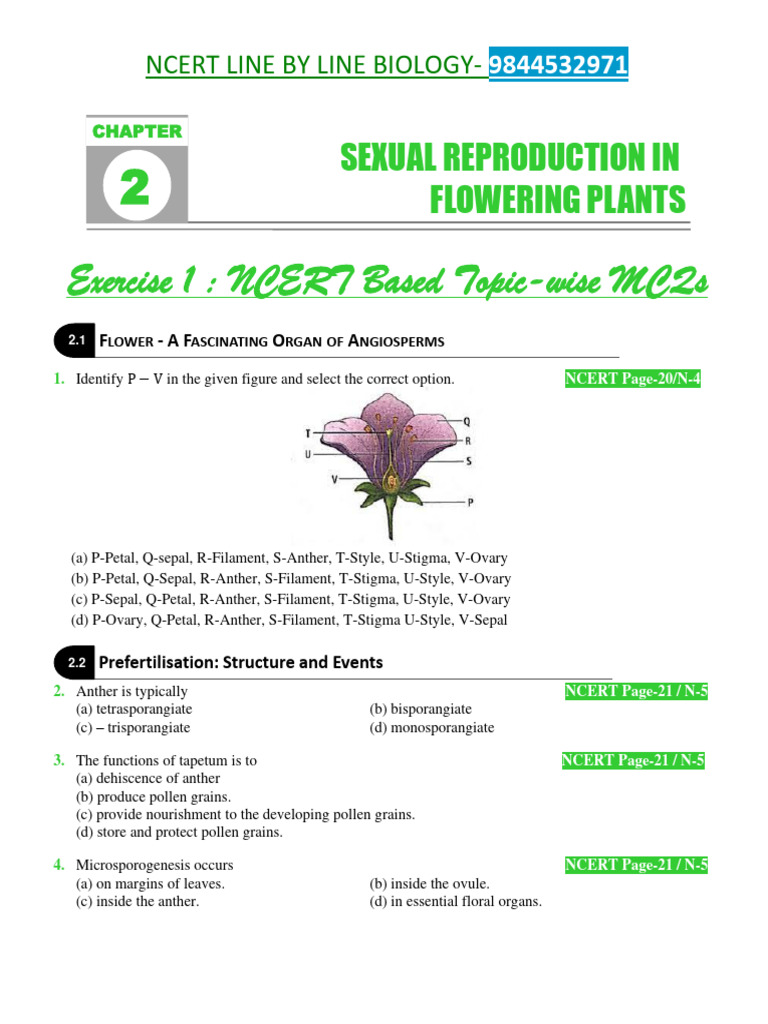 Sexual Reproduction in Flowering Plants | PDF | Flowers | Pollination