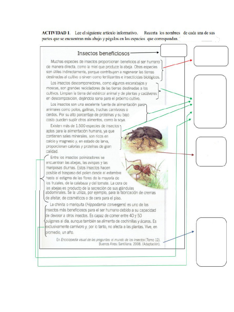 Articulo Informativo Partes | PDF