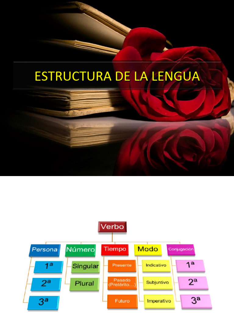 Estructura de La Lengua | PDF