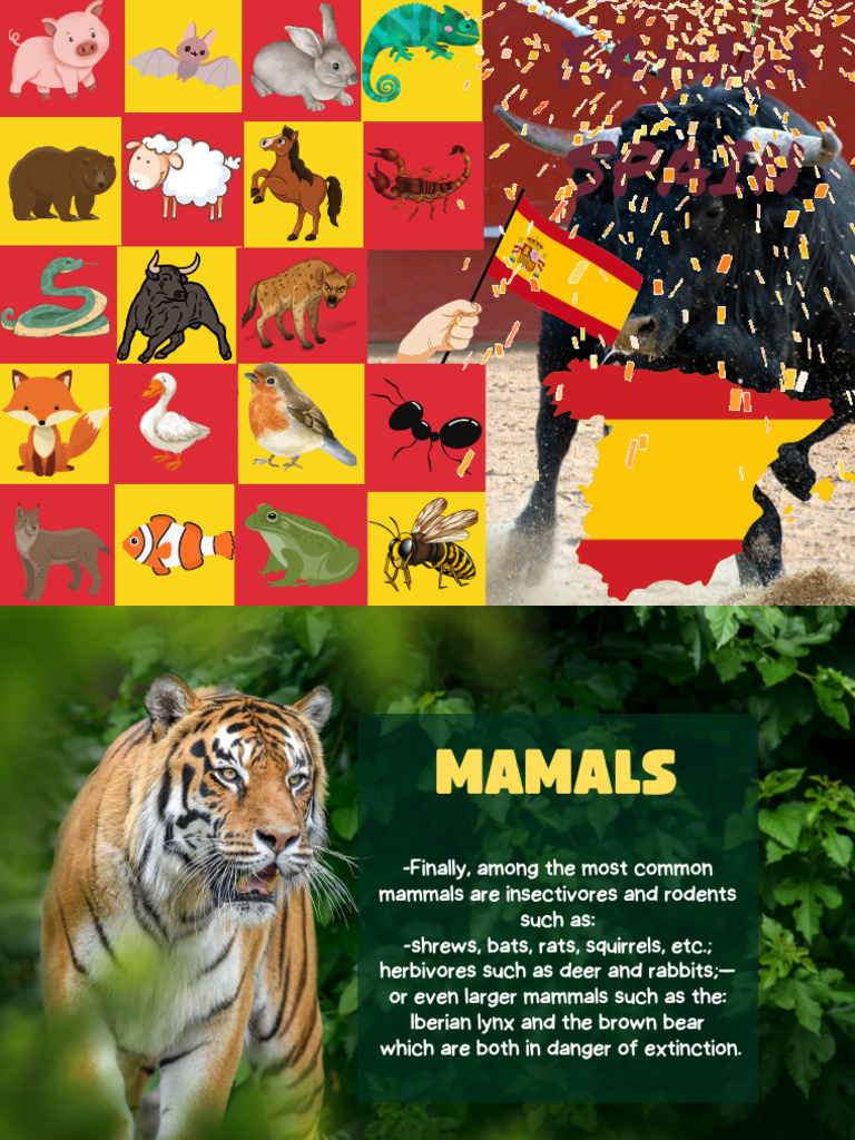 Fauna España | PDF