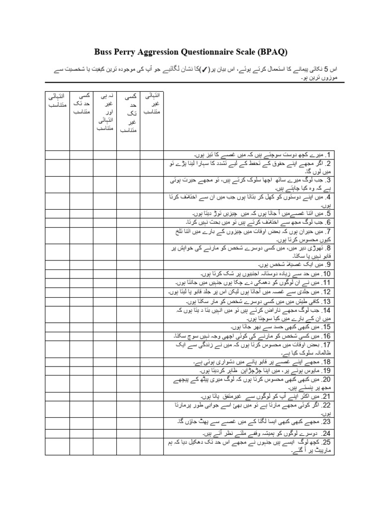 Aggression Scale-1 | PDF