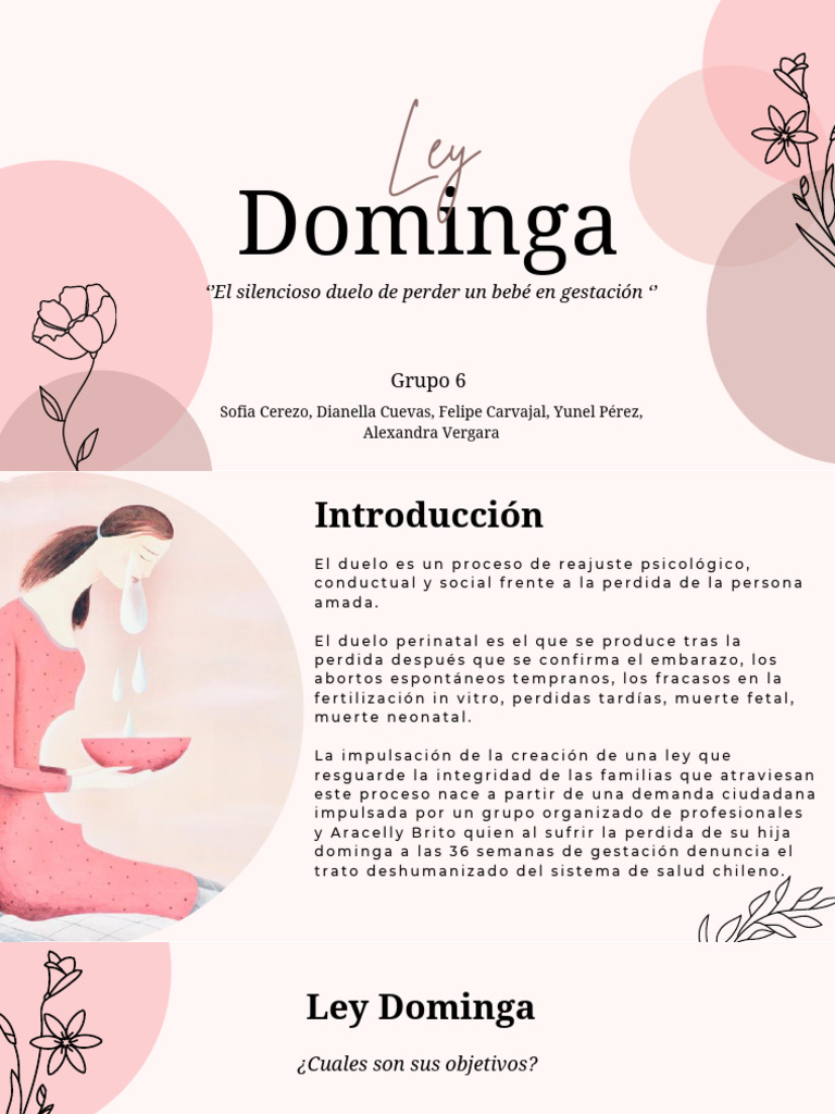 Ley Dominga | PDF | El embarazo | Dolor