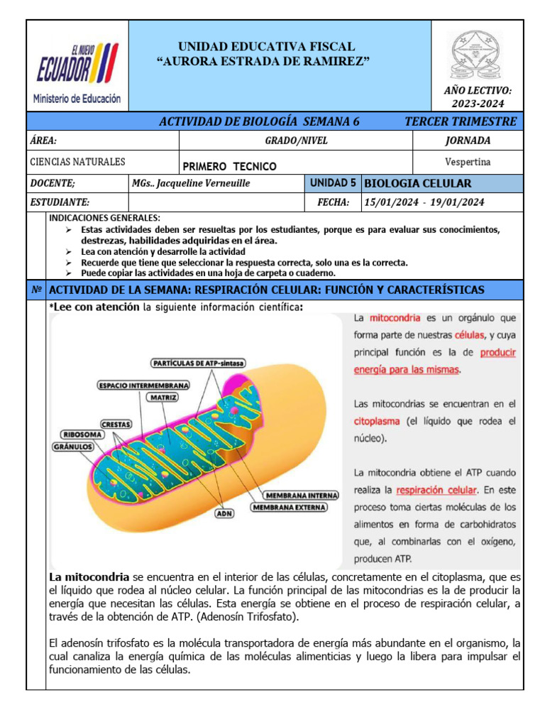Actividad Biologia Respiracion Celular 1ero Bgu s6 3er Trimestre 2023 ...