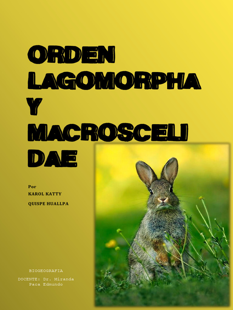 Orden Lagomorpha y Macroscelidae | PDF