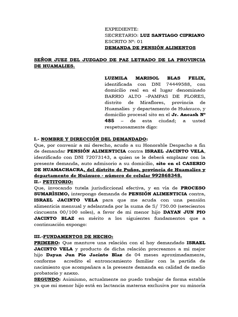 Demanda de Alimentos Jaier | PDF | Esfera pública | Justicia