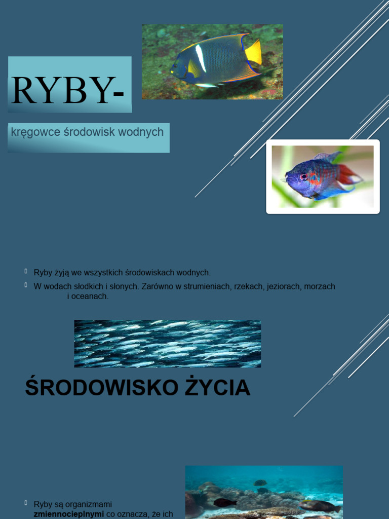 Prezentacja Ryby Klasa VI | PDF