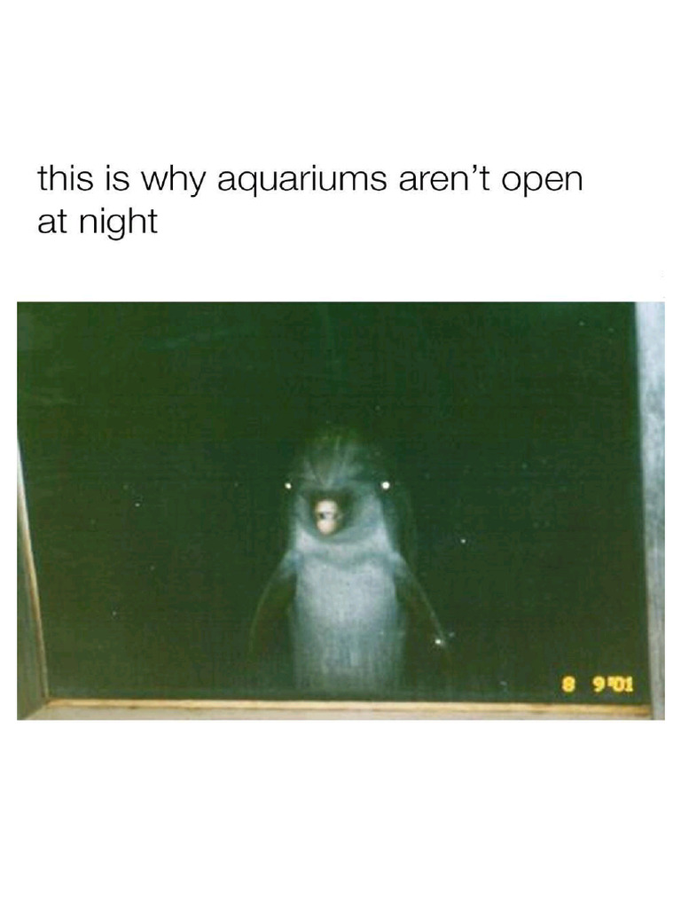 3PDF Gallery - 20240114 - 110247 | PDF