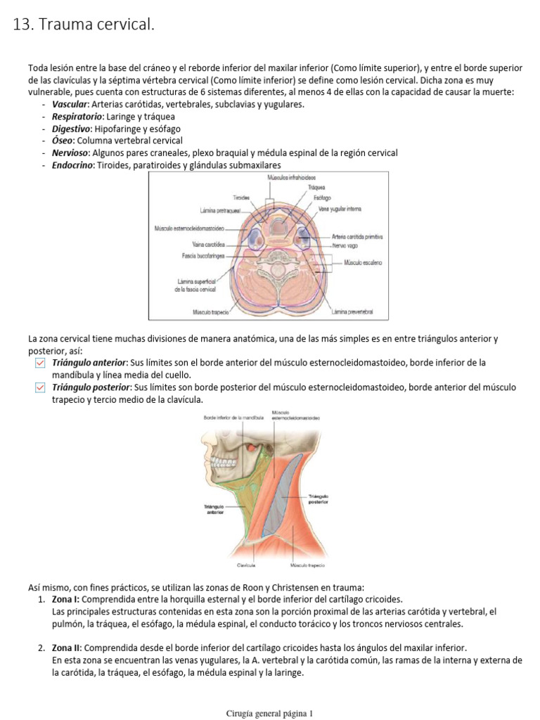 Trauma Cervical. | Descargar gratis PDF | Cuello | Lesión