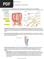 Inervación Del Pie | PDF | Dedo del pie | Pie