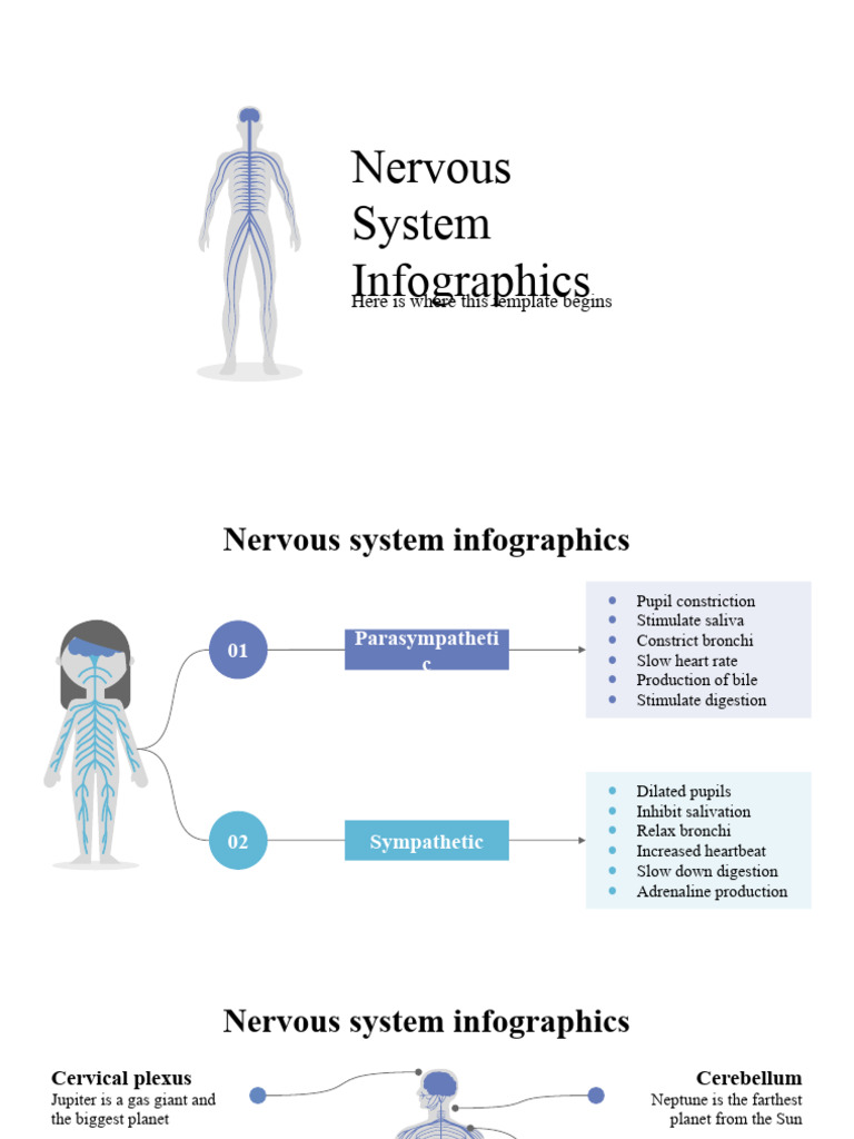 Nervous System Infographics by Slidesgo | PDF | Central Nervous System ...