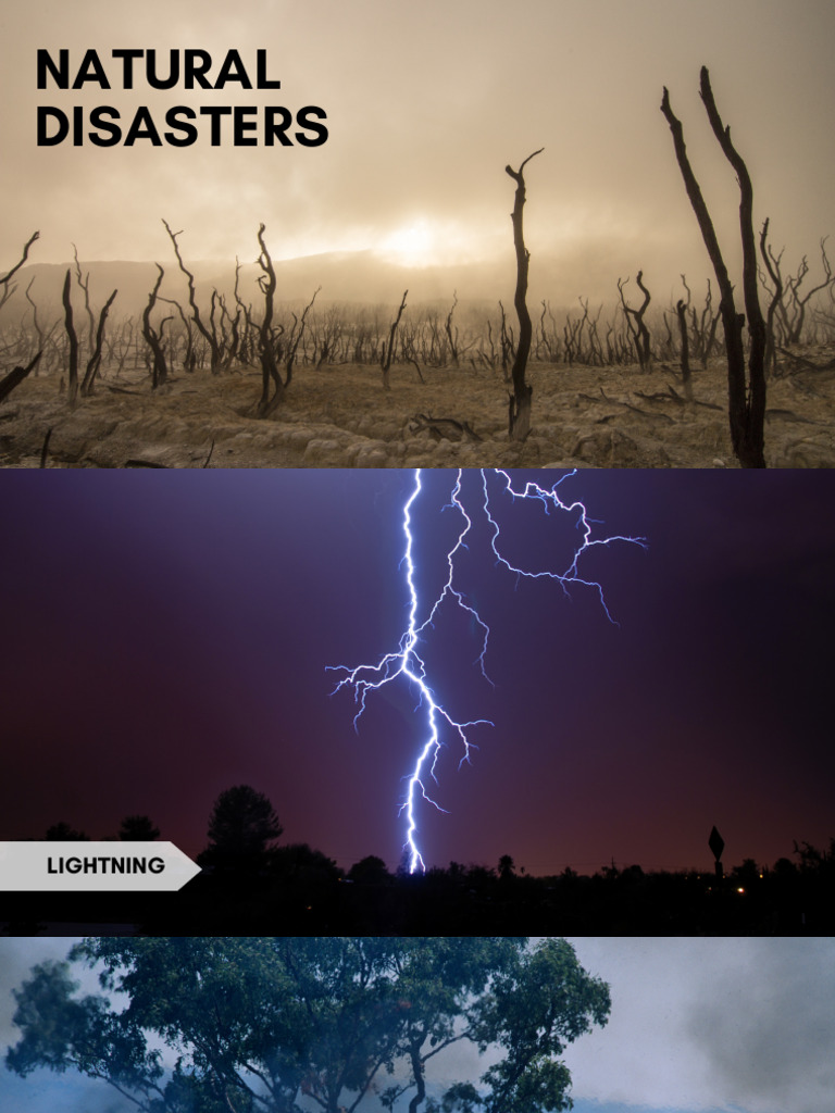 Natural Disasters Presentation | PDF