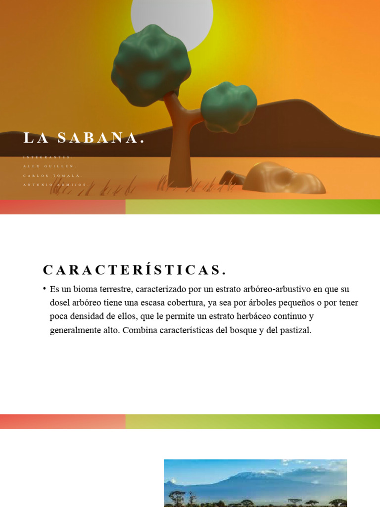 Diapositivas Del Bioma de La Sabana | PDF