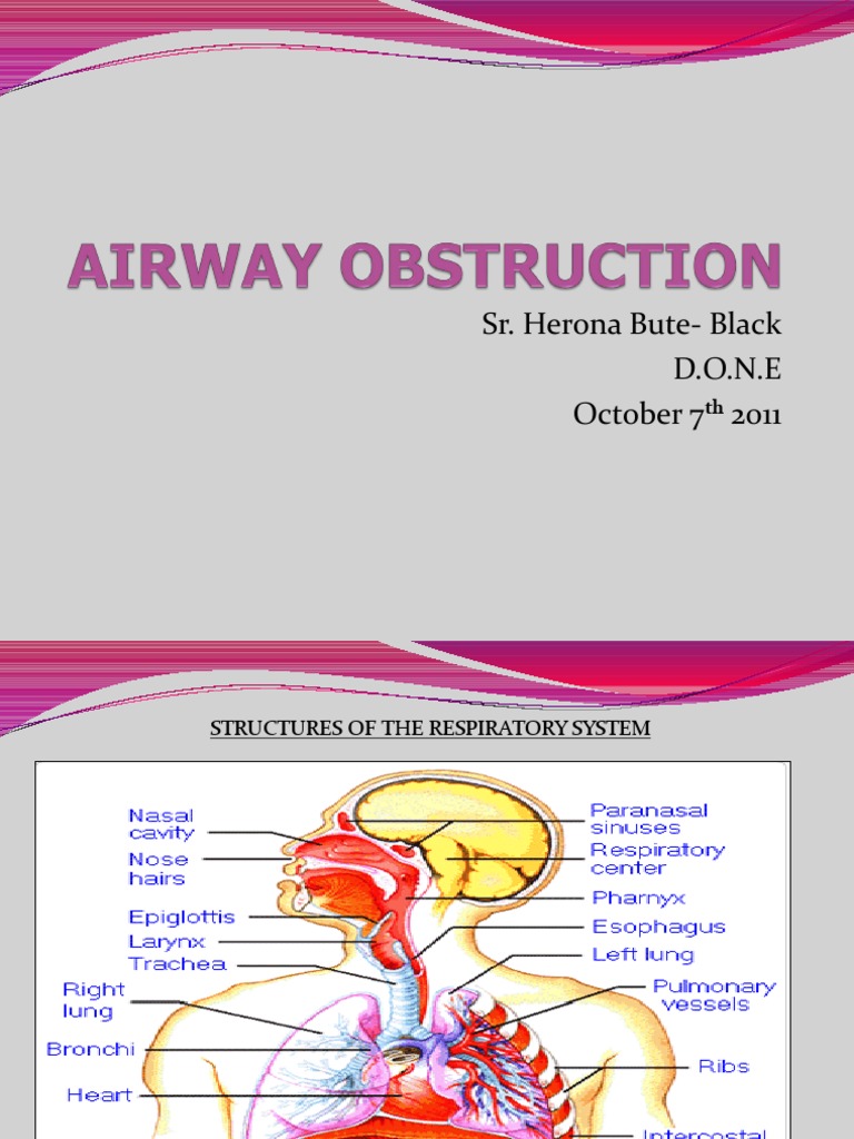 Airway Obstruction: Causes and Management | PDF | Respiratory Tract ...