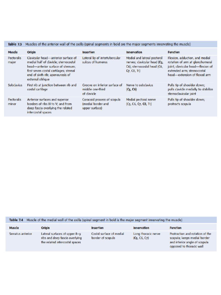 Muscles-UL, LL | PDF