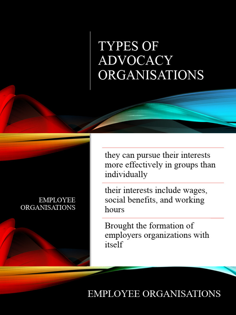 Types of Advocacy Organizations | PDF | Employment | Non Governmental ...