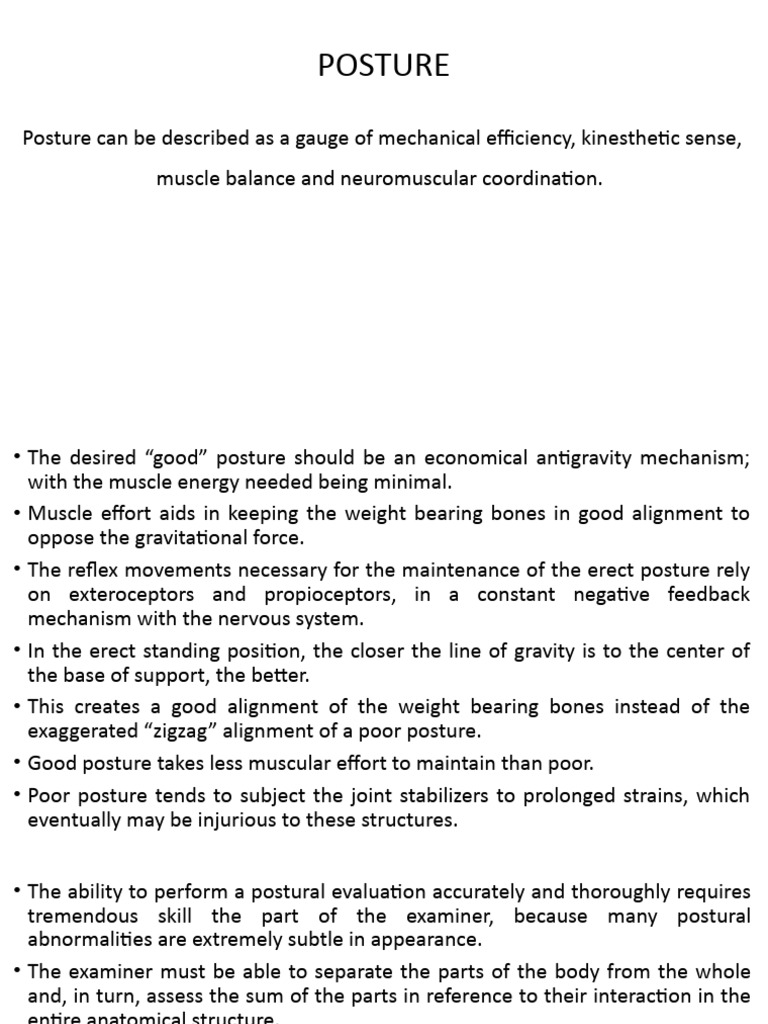 Posture 2022 | PDF | Anatomical Terms Of Motion | Foot