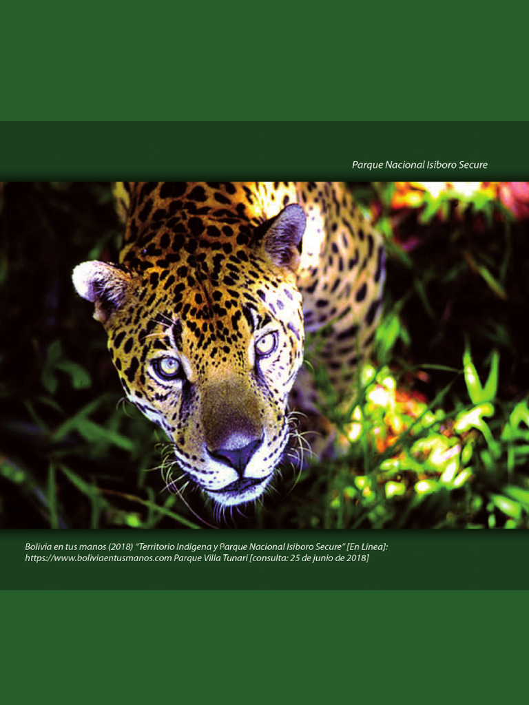 Unidad 1. La Idea Rectora de Ña Respuesta Correcta | PDF | Juez | Ley ...