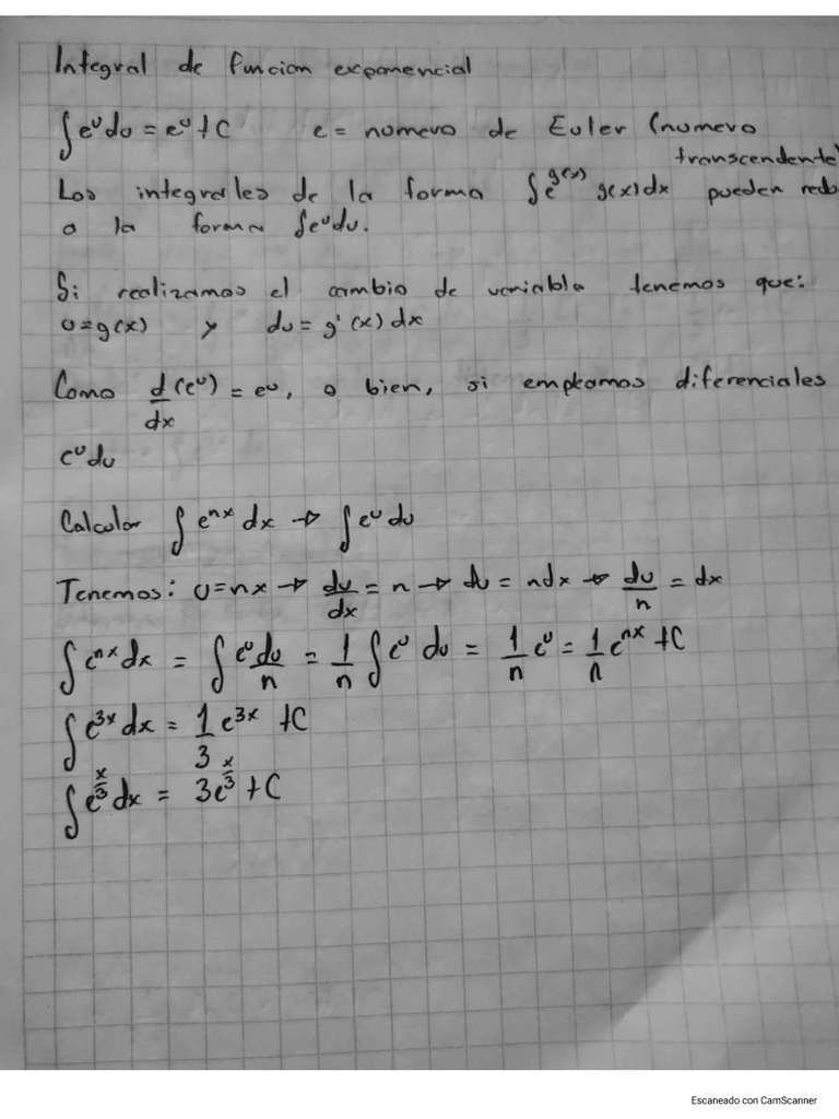Notas Integracion de Funciones Exponenciales | PDF