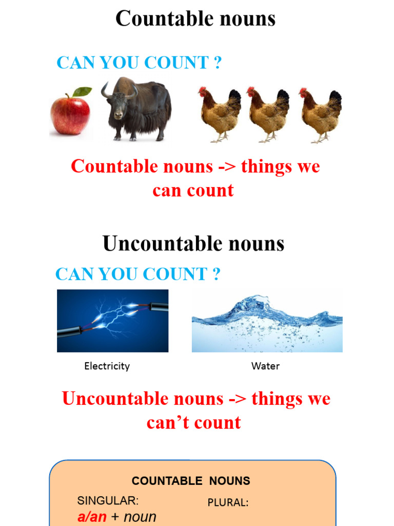 Grammar - Expressions of Quantity | PDF | Noun | Grammatical Number